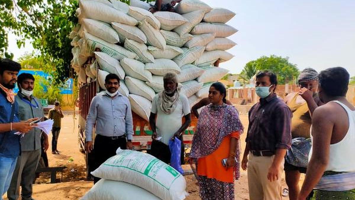 Use of subsidised seeds to be cross-checked through app - The Hindu