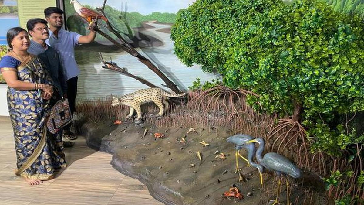 Koduru beach sees a swell in holiday-goers - The Hindu