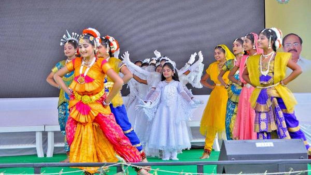 Flamingo fest off to a colourful start - The Hindu