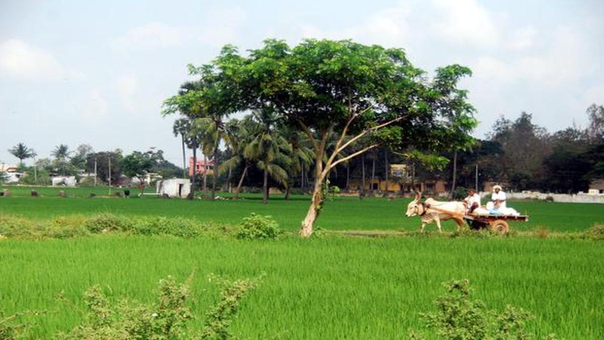 Capital gains tax exemption for Andhra farmers - The Hindu