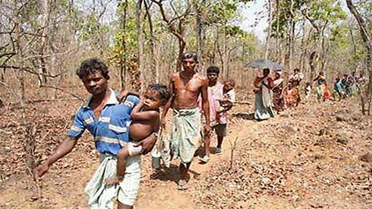 Tribals trek 30 km daily for livelihood - The Hindu