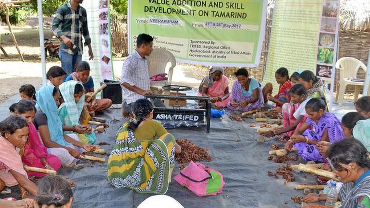 Tribals motivated to tap more natural resources - The Hindu