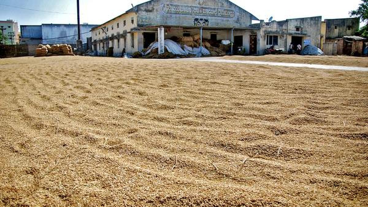 Areas for shifting Nellore rice mills identified - The Hindu