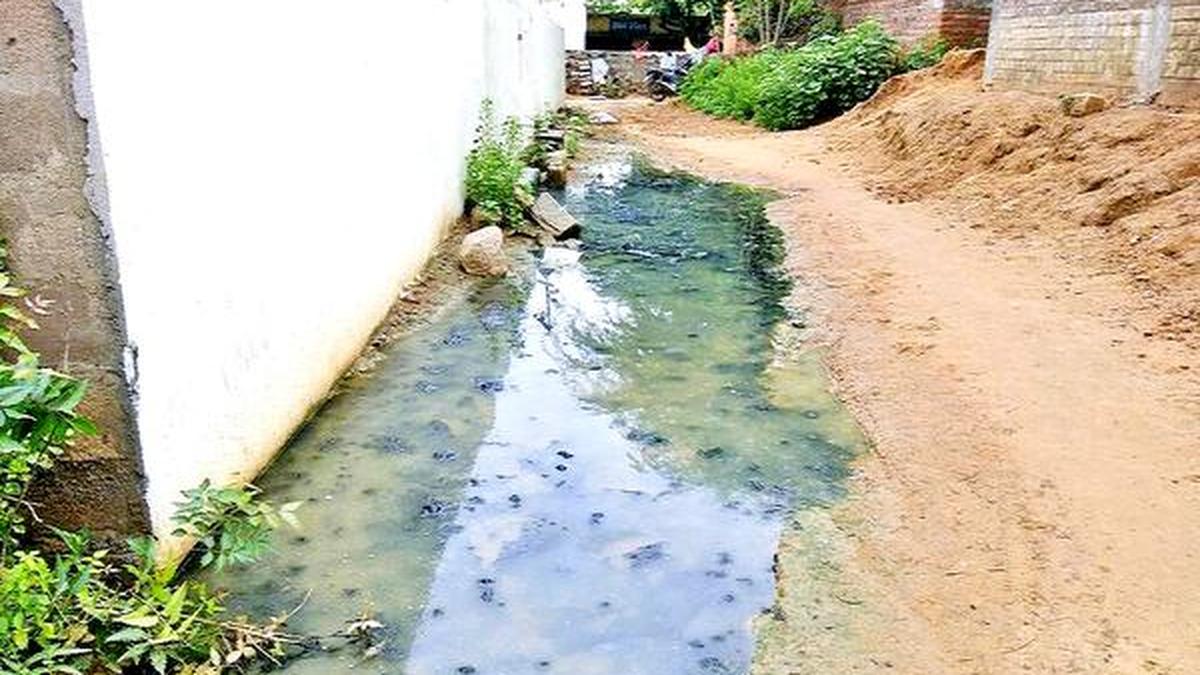 Fear of dengue returns to Varadaiahpalem - The Hindu