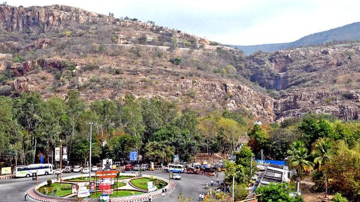 Bodha grass worries mount for Seshachalam foresters! - The Hindu