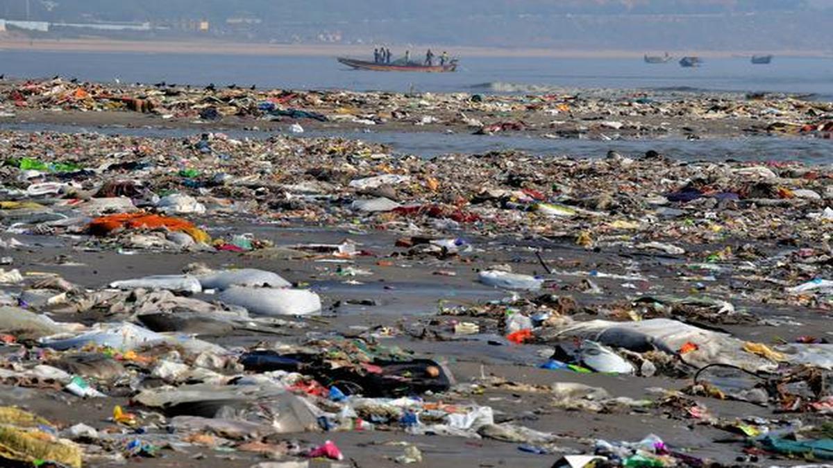 Lawson’s Bay beach, once a star attraction, now resembles a dumpyard ...