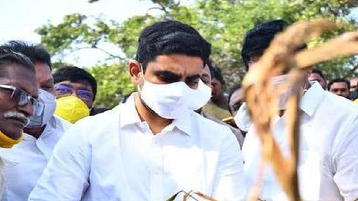 Enumeration of crop loss tardy: Lokesh - The Hindu