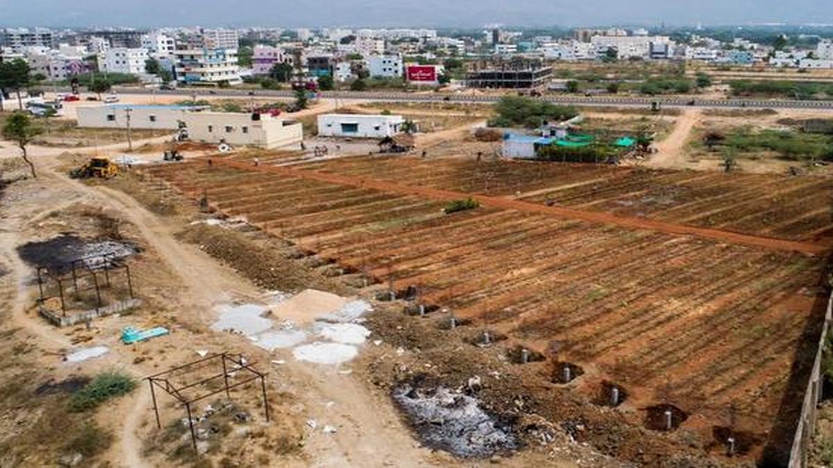 TUDA plans ‘mini forest’ near Tirupati - The Hindu