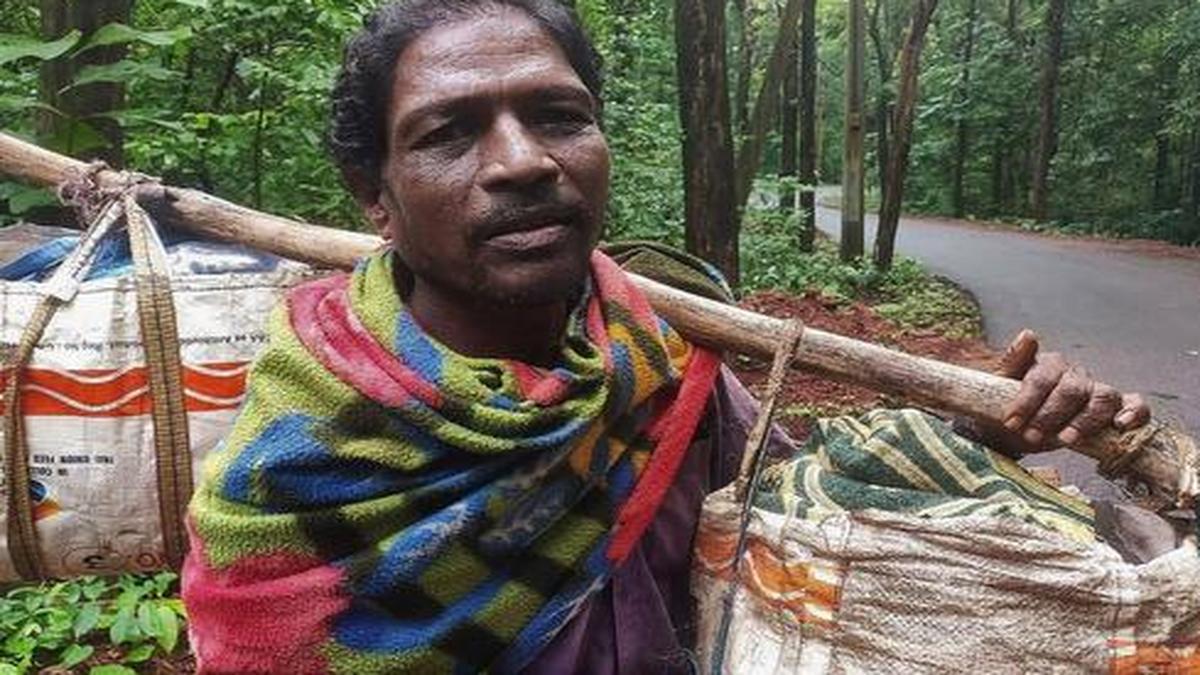 A tribal doctor’s tireless trek to treat patients - The Hindu