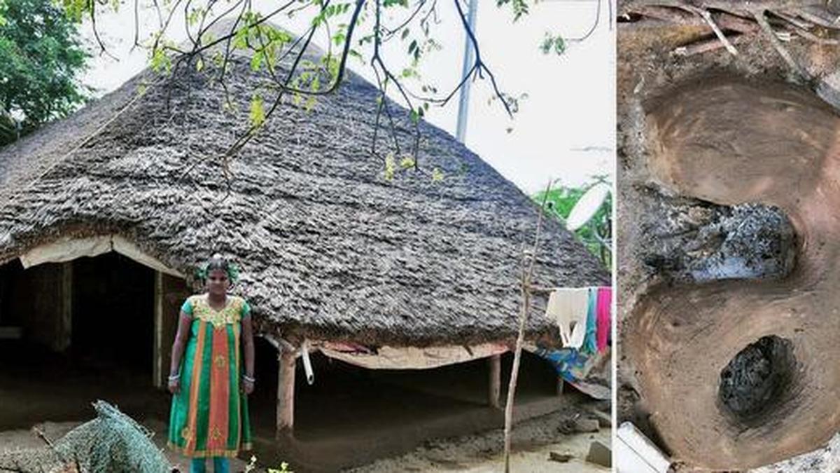 Crab-hunting Yanadi tribes: women are the masters of building these mud ...
