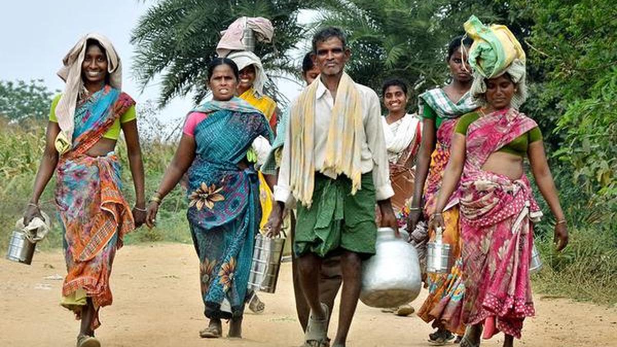 Farmhands turn political workers in crucial season - The Hindu