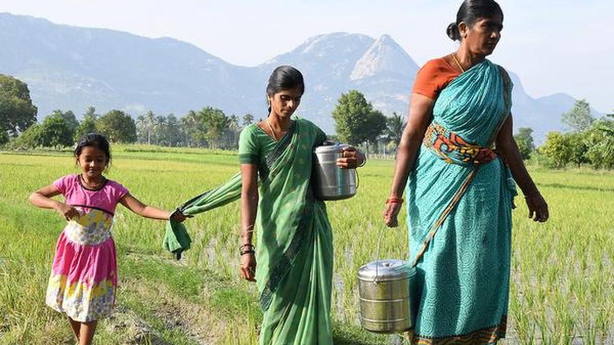 A road to progress - The Hindu