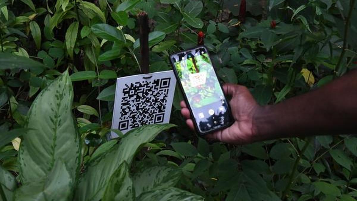 In this Vijayawada college, trees have QR codes - The Hindu