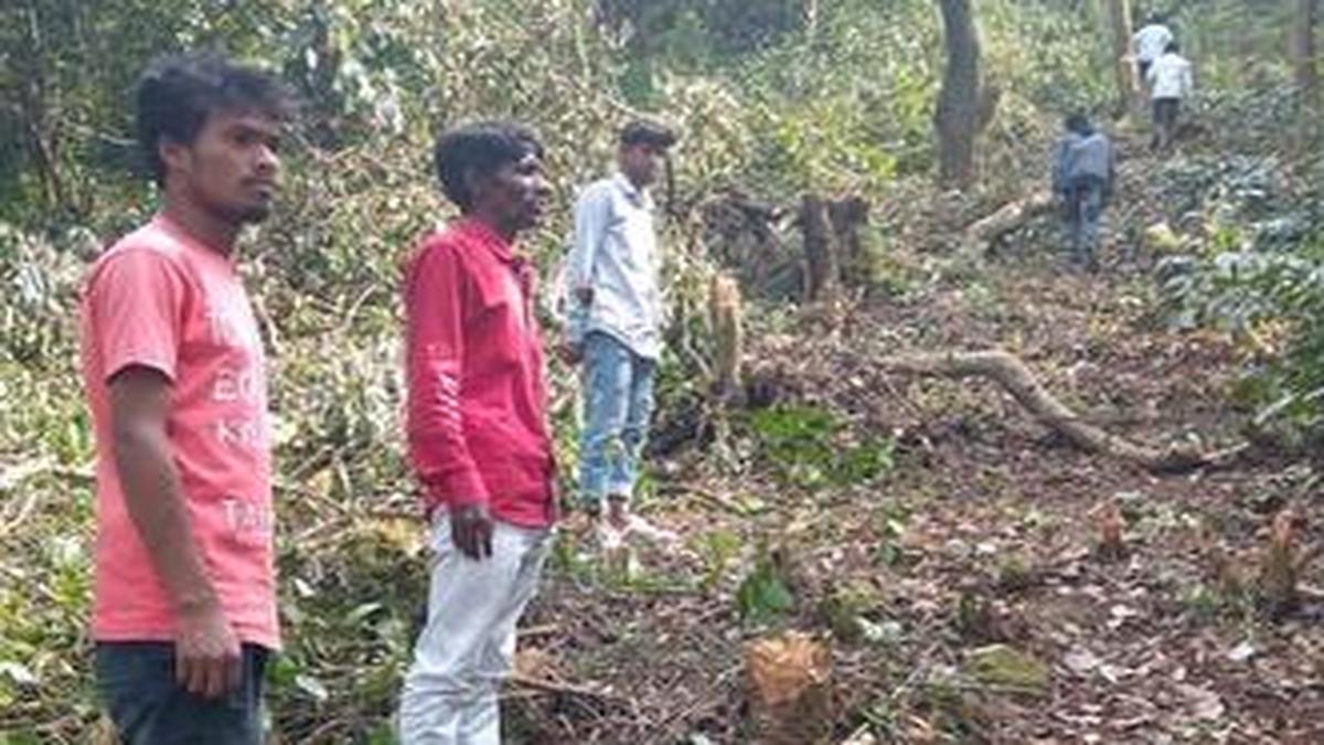 Andhra-Odisha border dispute gaining ground - The Hindu