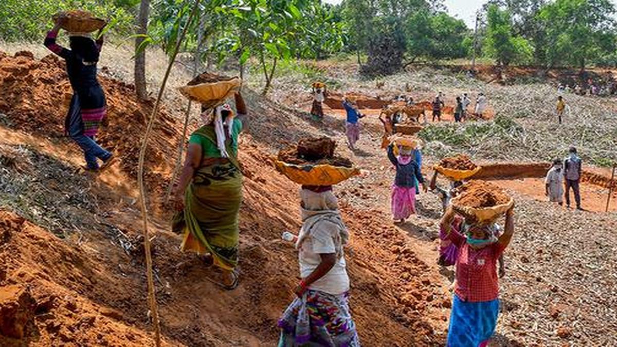 A.P. sees upsurge in MGNREGS works, but fewer women participate - The Hindu