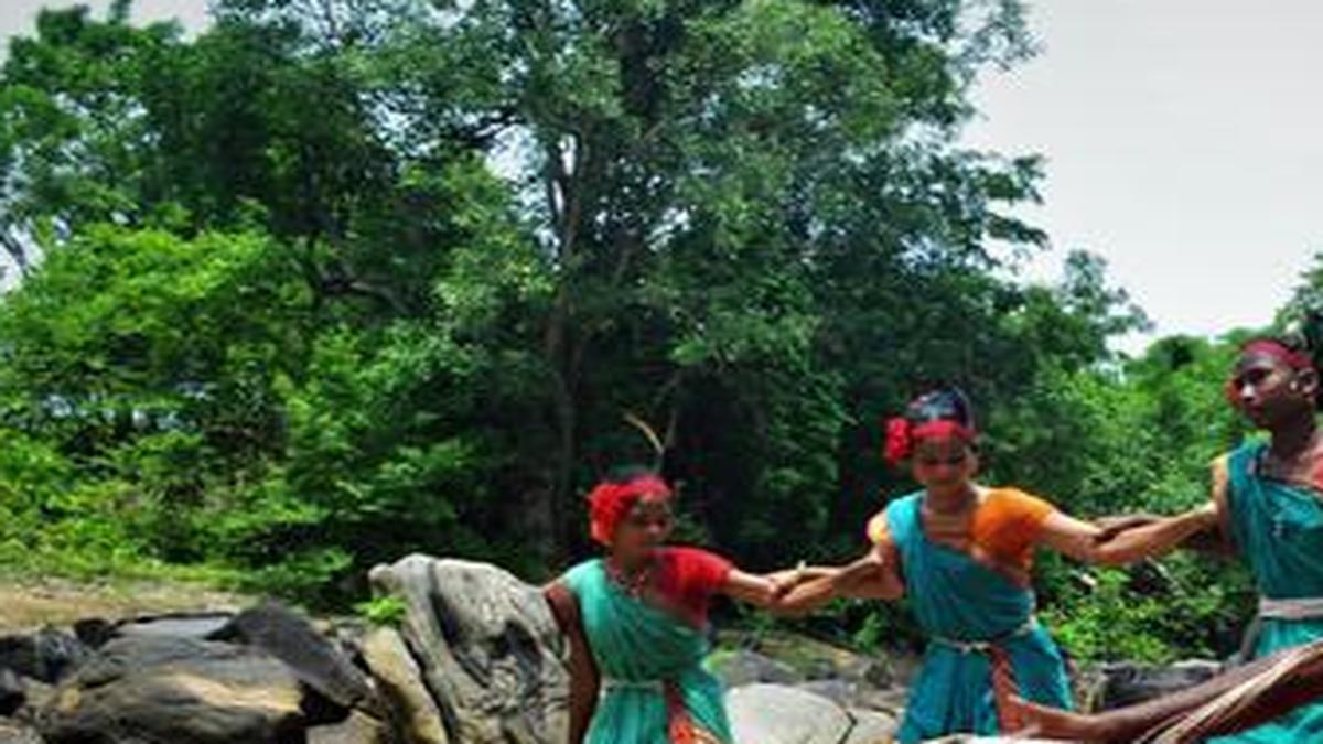 Koya tribe’s Kommu dance form faces risk of extinction - The Hindu