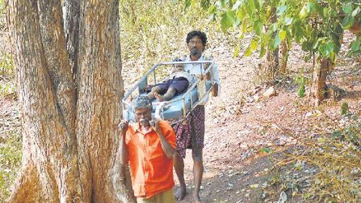 Chenchus wage losing battle in Nallamalas - The Hindu