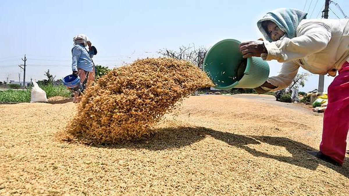 In a first, A.P. government to procure paddy at the doorstep of farmers ...
