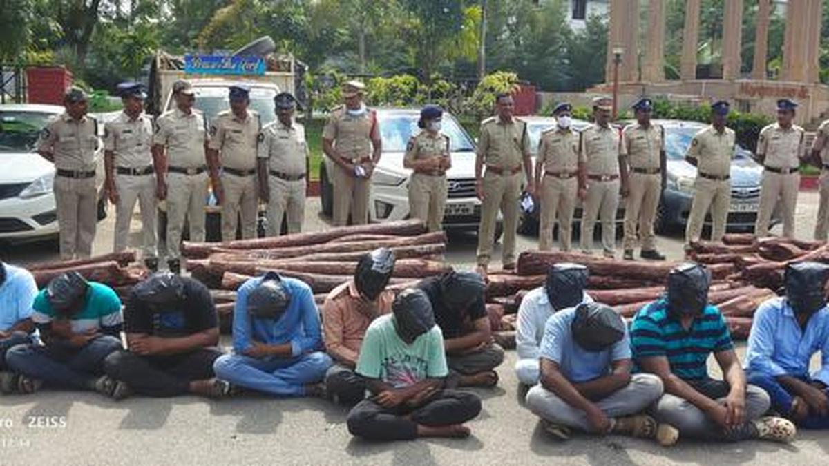 International red sander smuggling gang busted - The Hindu