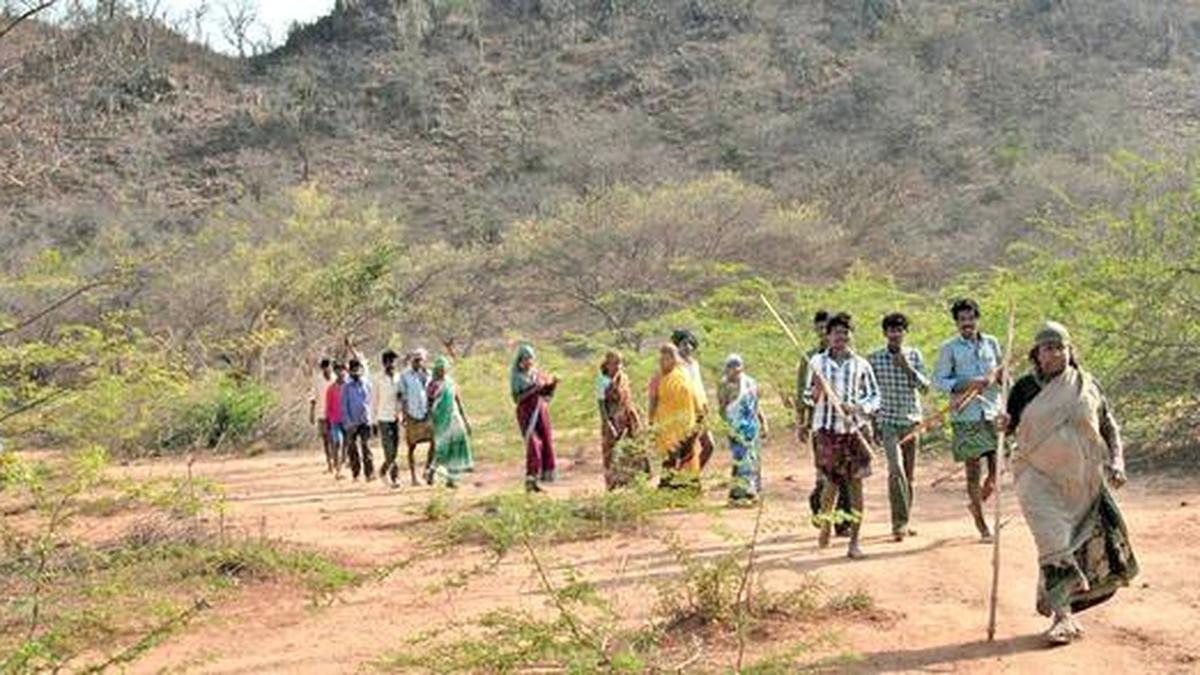 Chenchus brave tough terrain to cast their vote - The Hindu