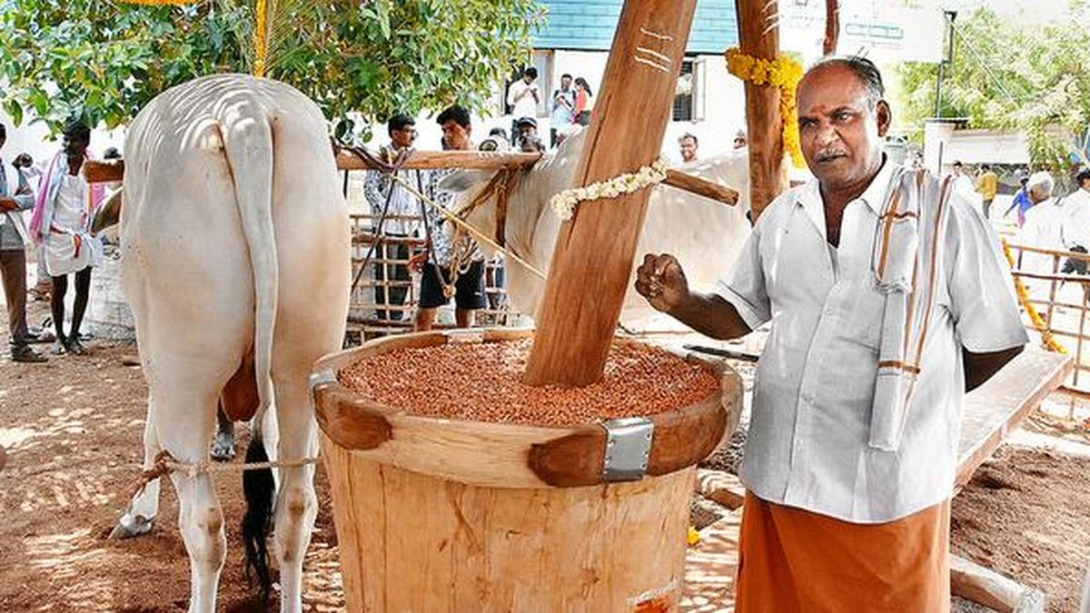 ‘Ganuga’ making a comeback - The Hindu