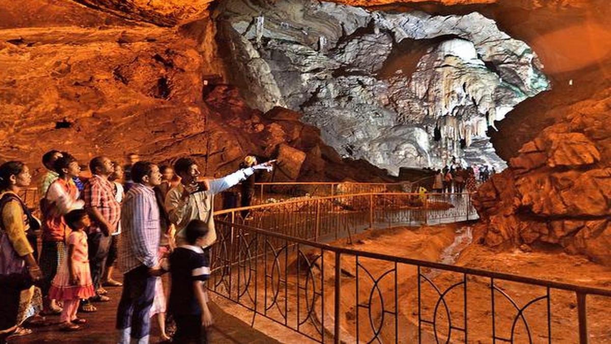 Tour guides are in dire straits - The Hindu