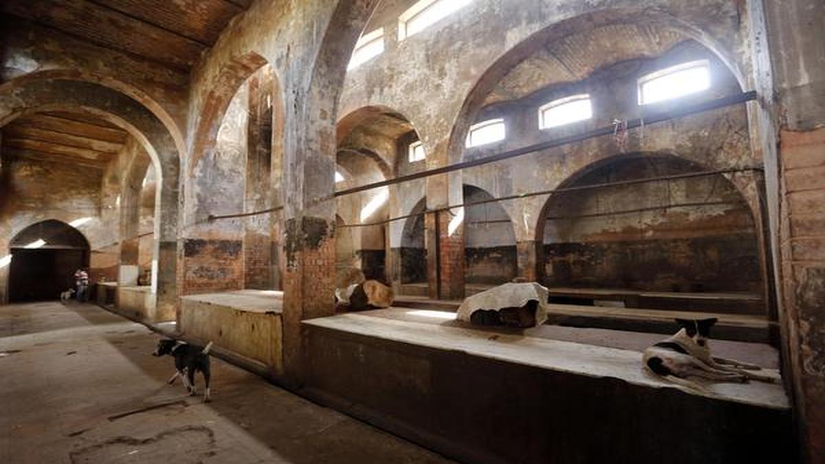 Cattle slaughter, in varying degrees - The Hindu