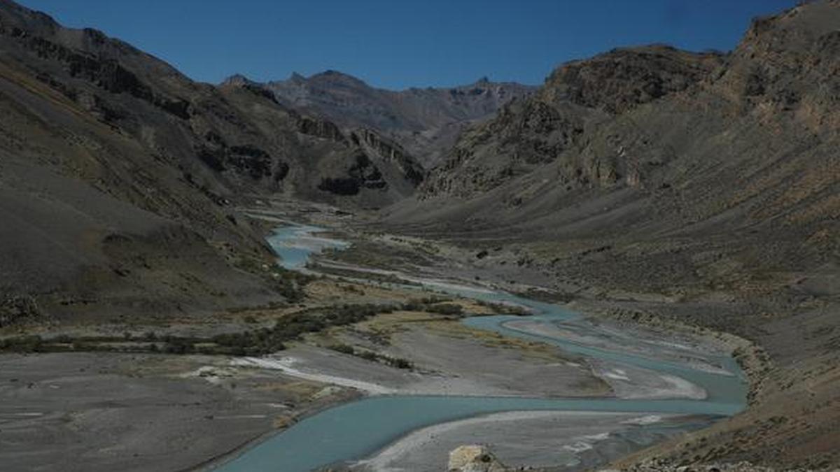 India can’t stop water from flowing into Pakistan: Pak official - The Hindu