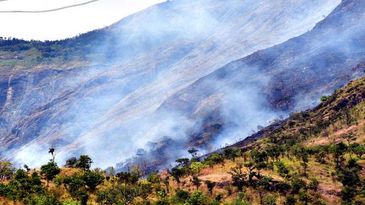 FSI carries out ‘complete revamp’ of forest fire alerts system - The Hindu