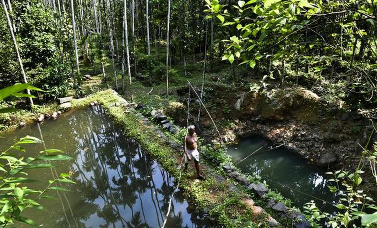 Runnels from deep under: A glimpse into the life Kasaragod's suranga ...