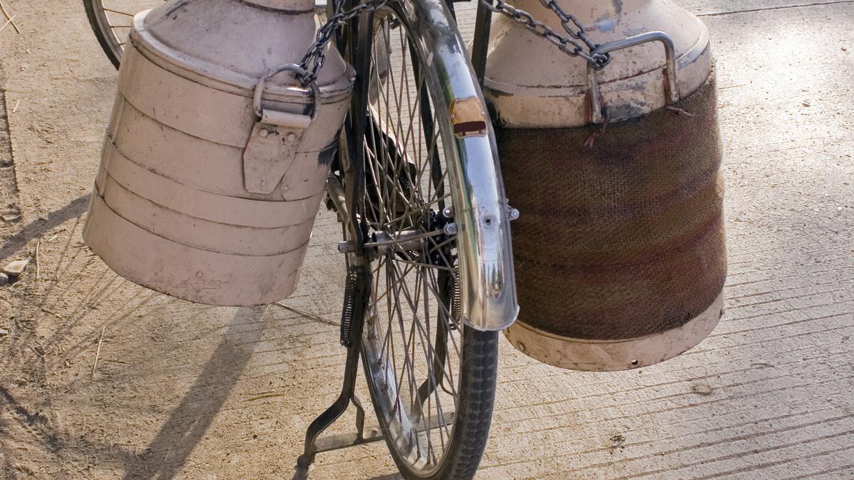 Finding milk - The Hindu