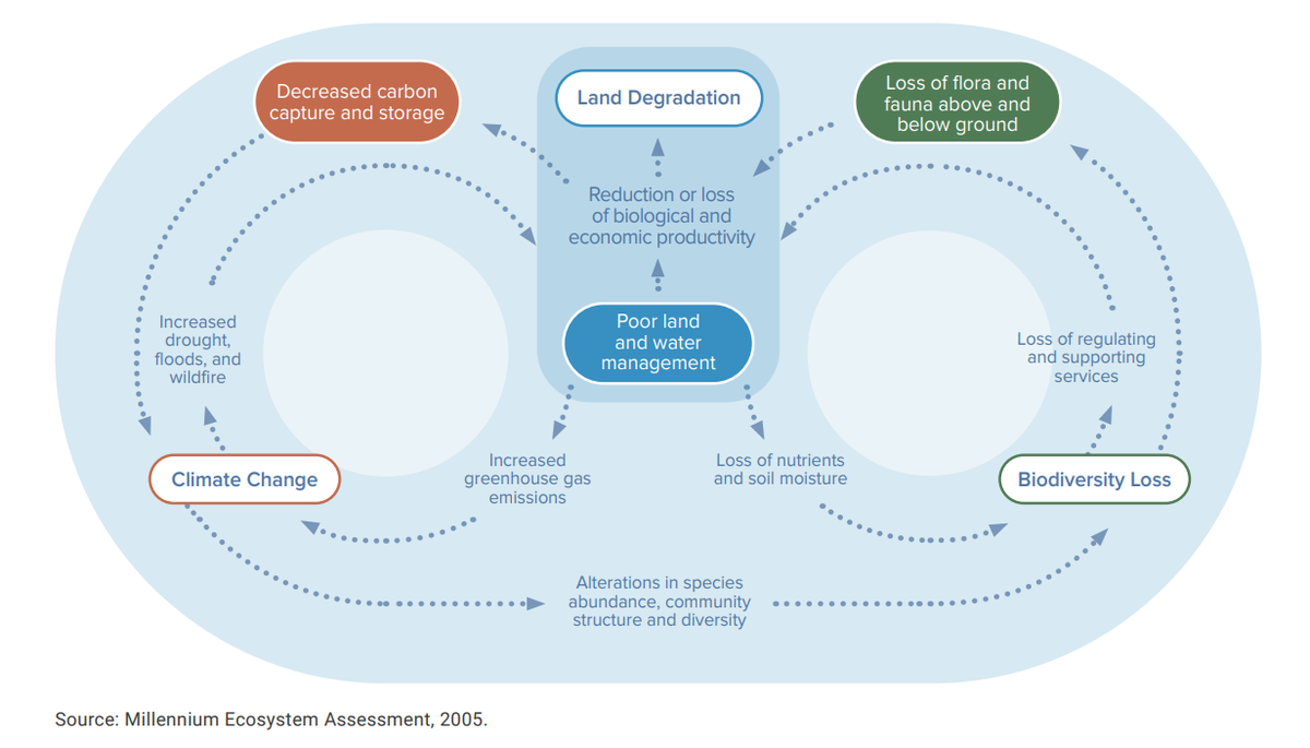 Explained United Nations Global Land Outlook report - The Hindu