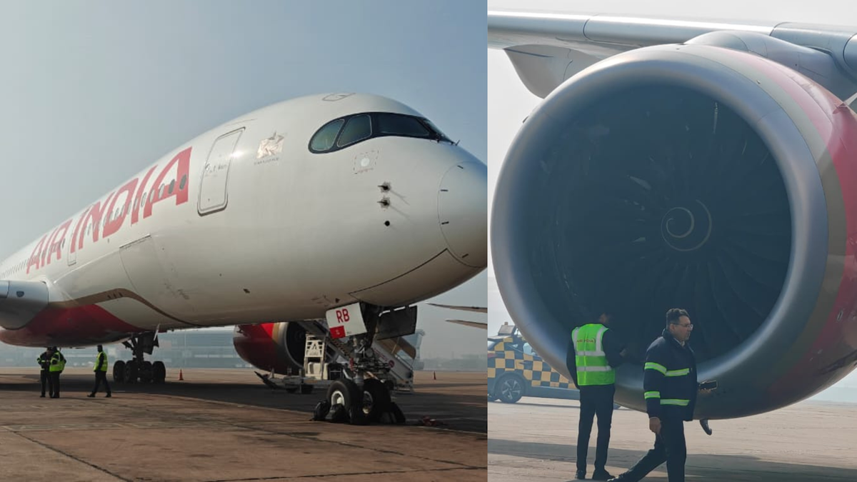 Air India aircraft grounded after engine ingests container - The Hindu