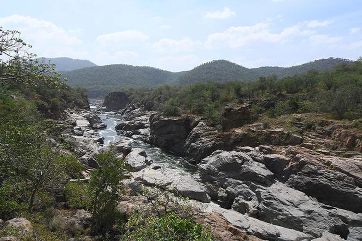 Explained | Why are Karnataka and Tamil Nadu sparring over the Mekedatu ...