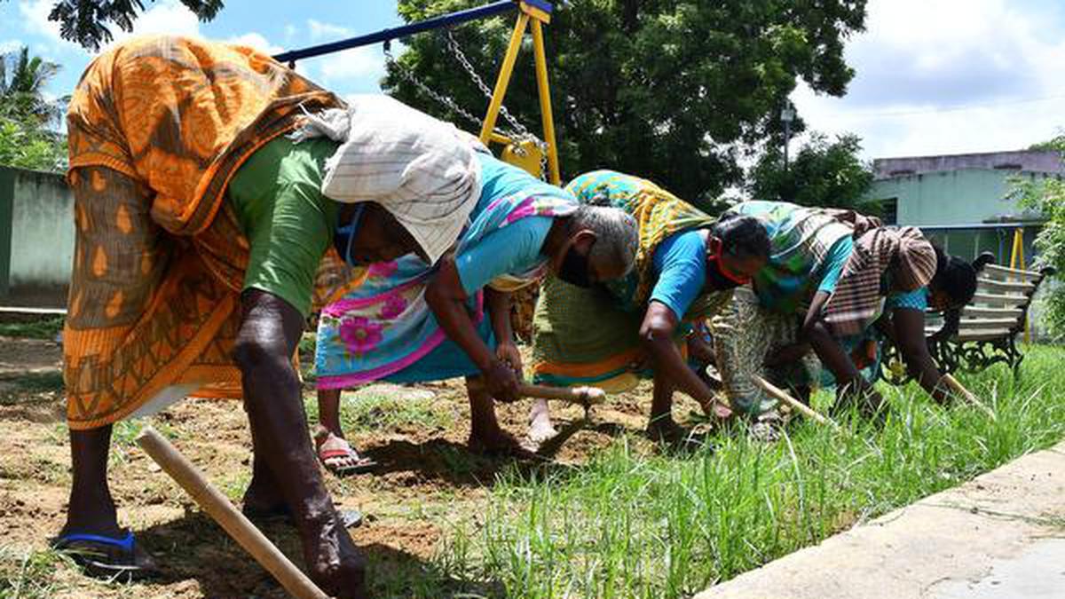 Tensions rise over caste split of MGNREGA wages - The Hindu