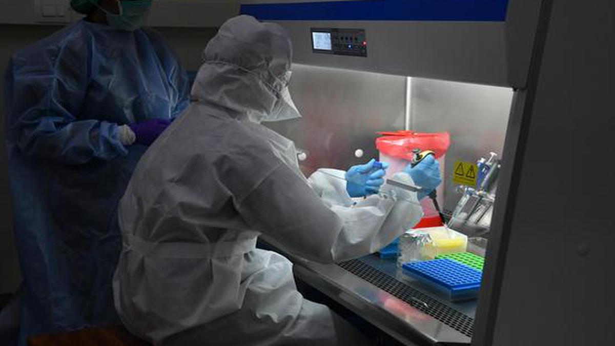 CCMB finds cheaper, more effective RT-PCR method to test COVID-19 ...