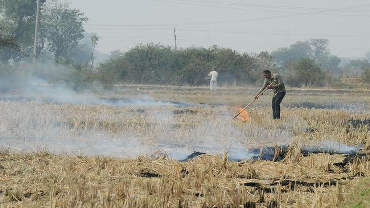Central Government looking to use stubble as biofuel: Environment ...