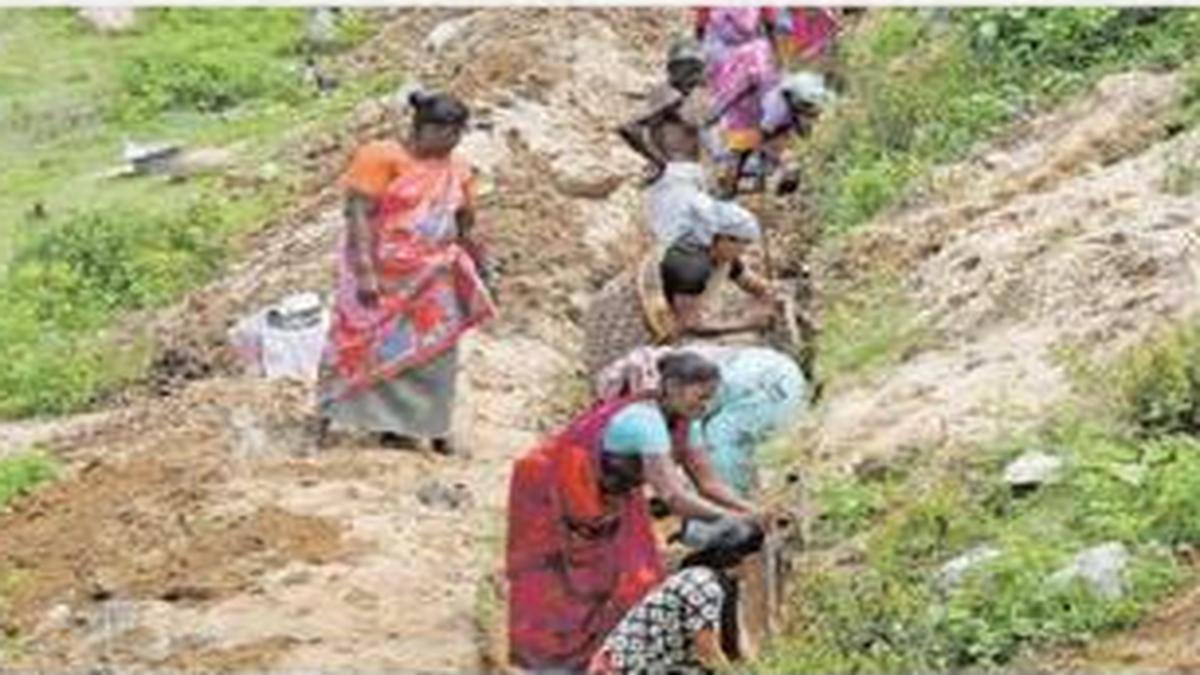 NREGA gets additional ₹6,084 cr. - The Hindu