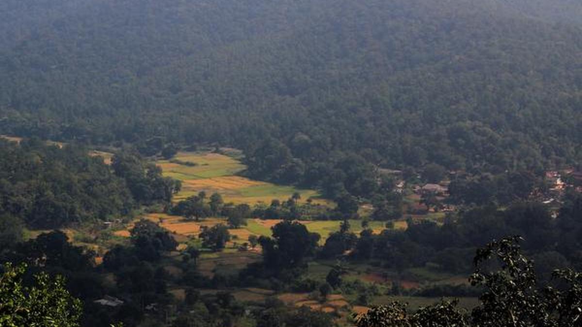 Tribals allege biodiversity destruction in Kandhamal community forest ...