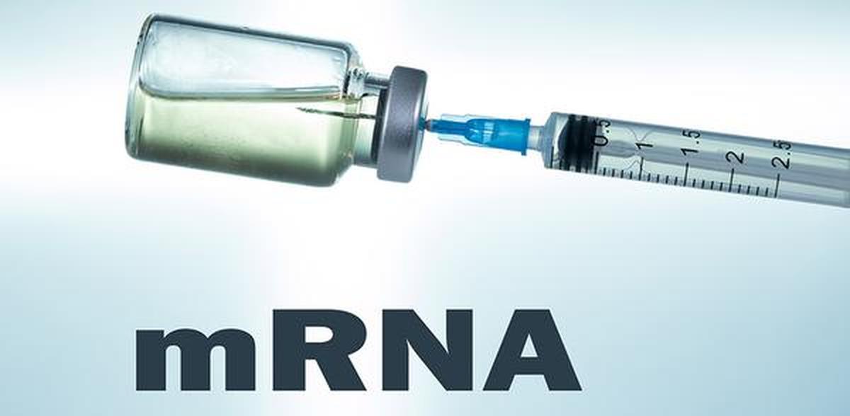 India’s first mRNA COVID-19 vaccine likely to be rolled out by April ...