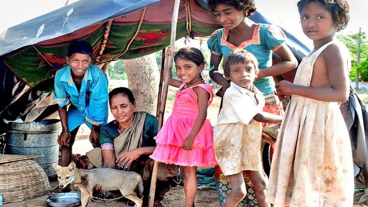 How the nature of Indian families is changing - The Hindu