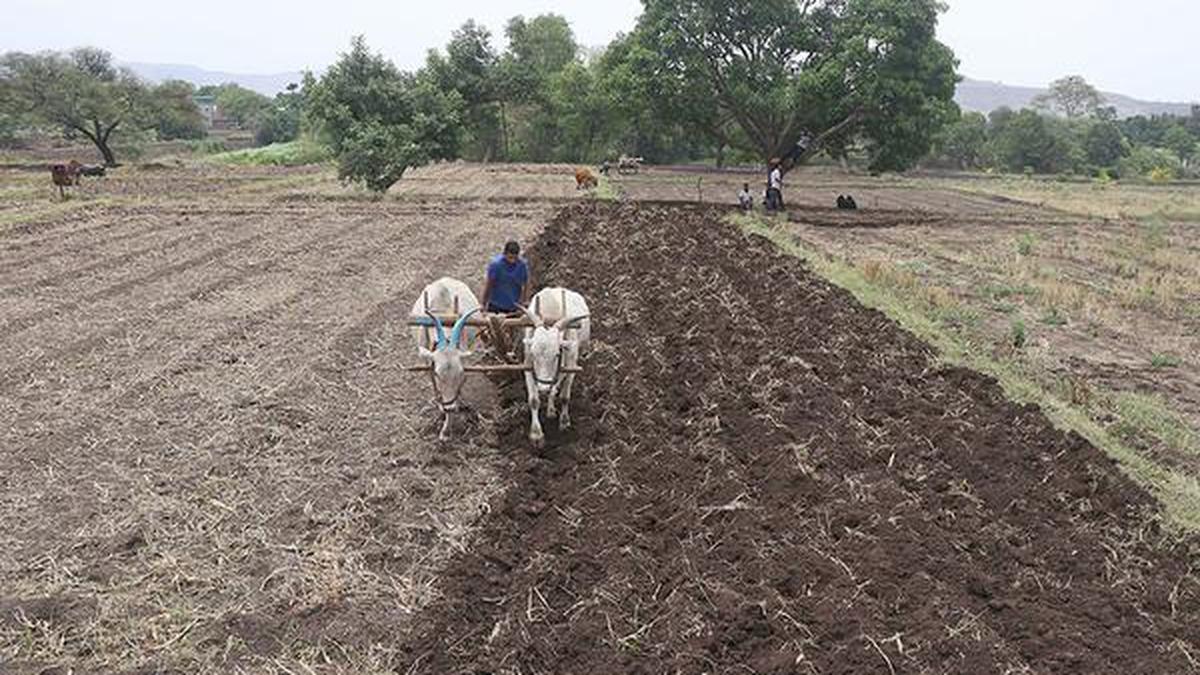 The Hindu Explains | Why does India need conclusive land titling? - The ...