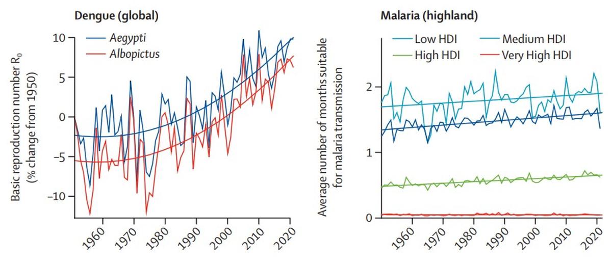 Climate change a leading reason for rise in number of dengue cases ...