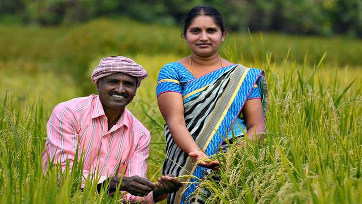Mandya farmer’s quest to preserve agrarian heritage - The Hindu