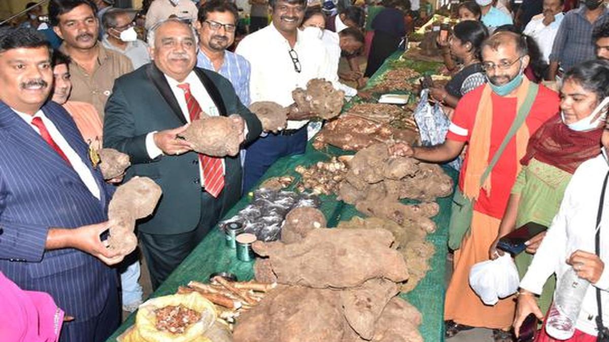 Promoting roots, tubers for sustainable agriculture and health - The Hindu