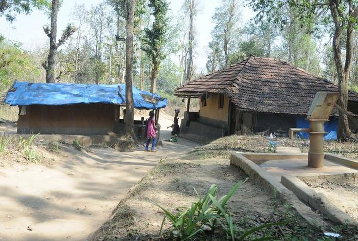 Renewable energy lights up tribal hamlet in Hunsur taluk - The Hindu