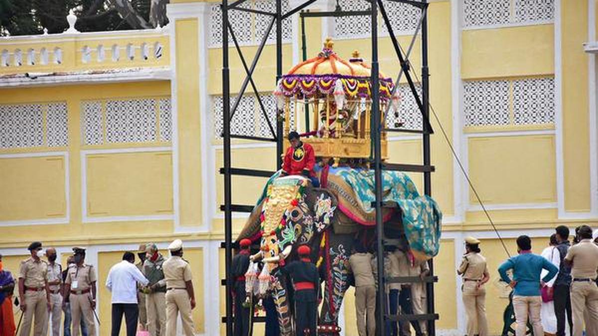 Abhimanyu carries golden howdah with precision and ease - The Hindu