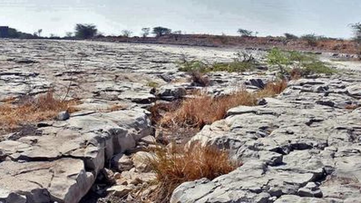 Poor rainfall takes a toll on groundwater table - The Hindu