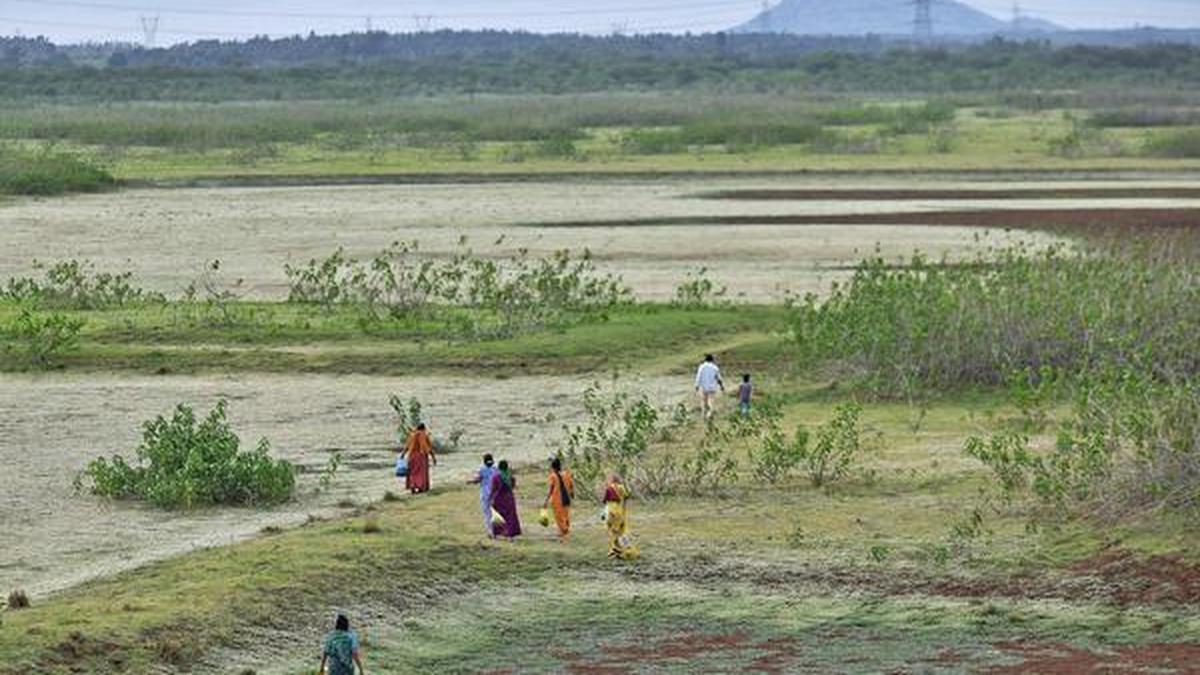 Karnataka to increase agriculture lending in cooperative sector - The Hindu