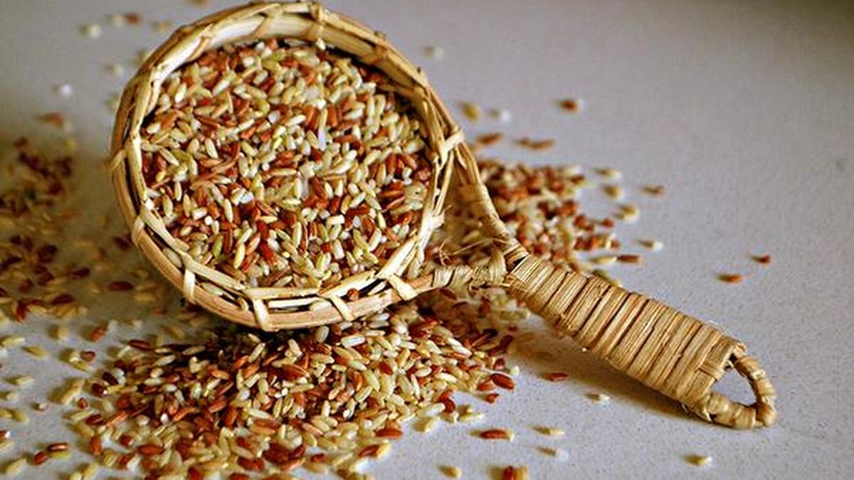 Efforts on to secure GI tag for ‘royal rice’ - The Hindu